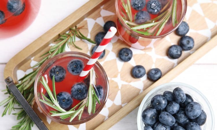 Sparkling Blueberry Spritzer - Pink Lotus Power Up
