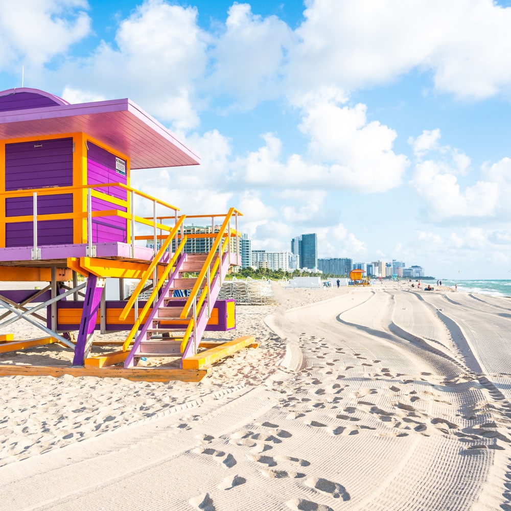 Cancer-Kicking! Local Chapter: Miami - Pink Lotus Power Up